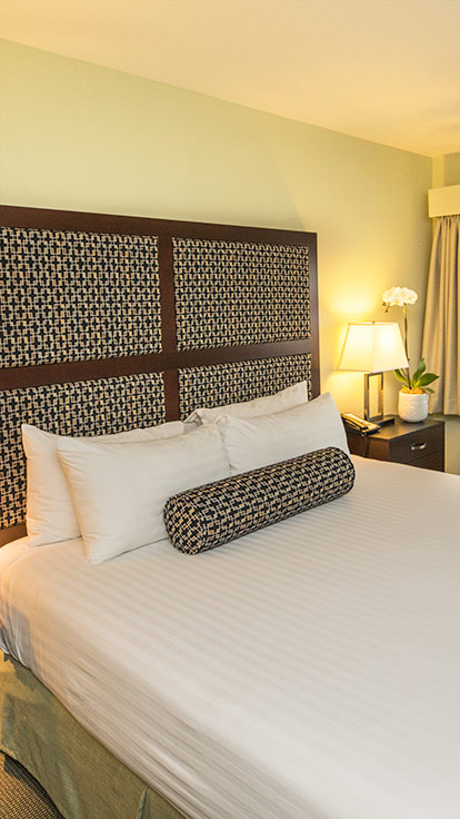 Maple Tree Inn of Silicon Valley | Sunnyvale CA Hotels