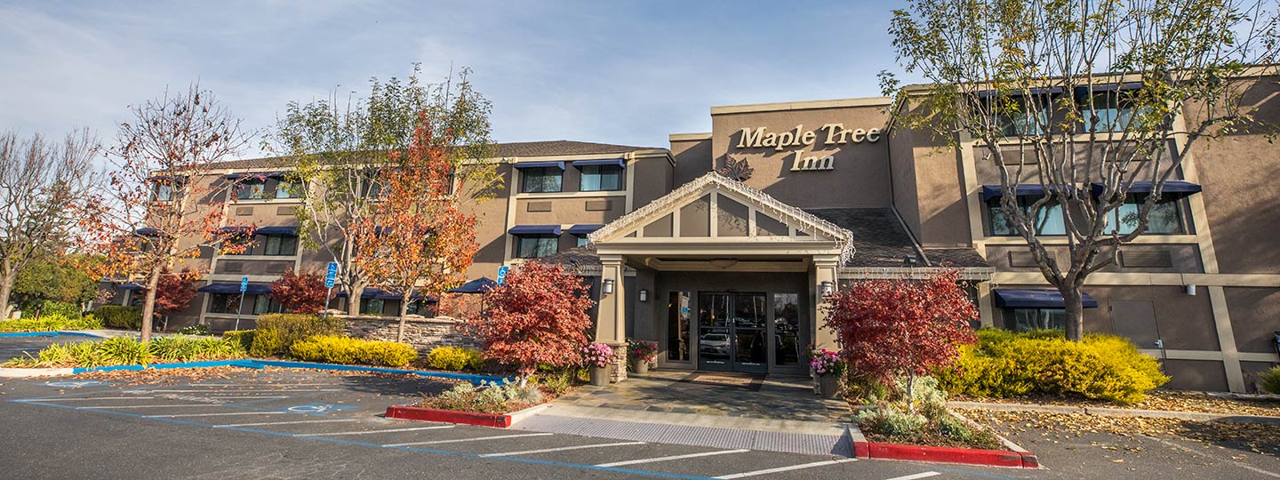 Photo Gallery | Hotel Near San Jose Airport | Maple Tree Inn